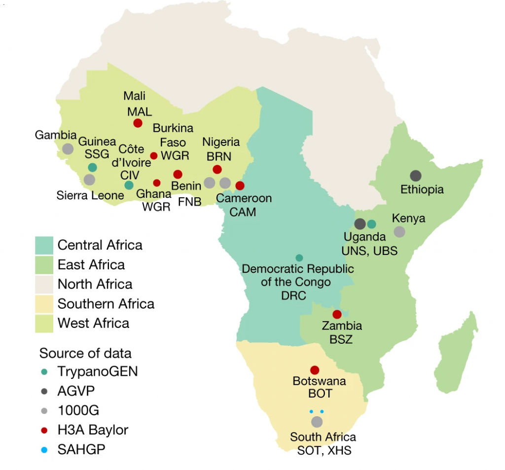 African genomes reveal biological and migration history