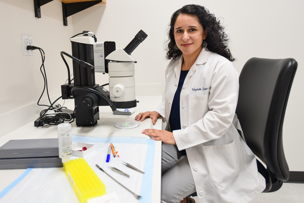 Hispanic Heritage Spotlight: Interview with Dr. Elizabeth Zúňiga-Sánchez