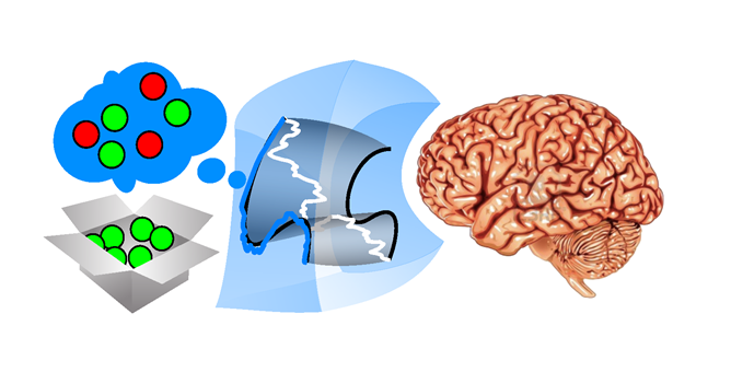 AI provides clues to understand how we think