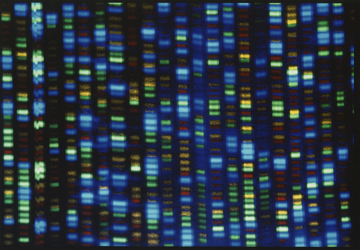 NPSR1 gene link to endometriosis reveals a potential drug target