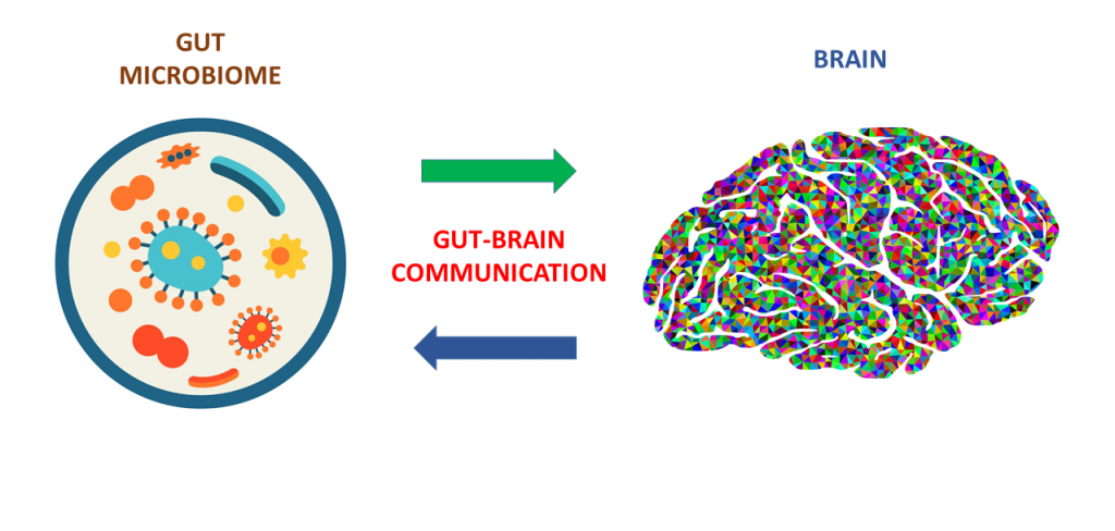 A novel, powerful tool to unveil communication between gut microbes and ...