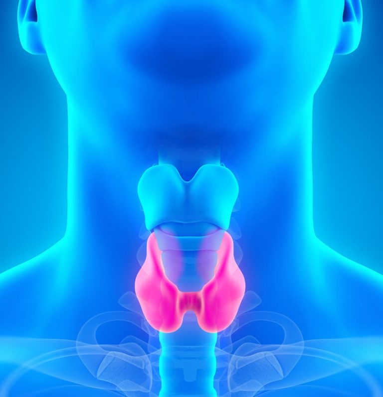 The MasSpec Pen offers the power of real-time tissue identification ...