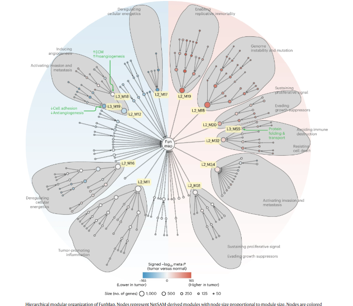 Mapping functional relations among proteins and genes helps illuminate ...