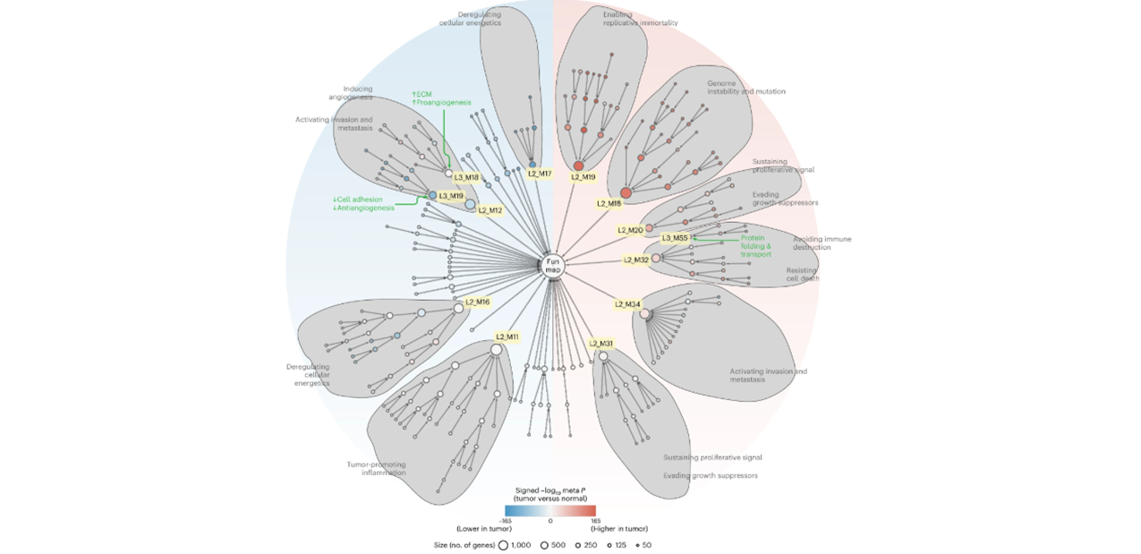 Mapping functional relations among proteins and genes helps illuminate ...