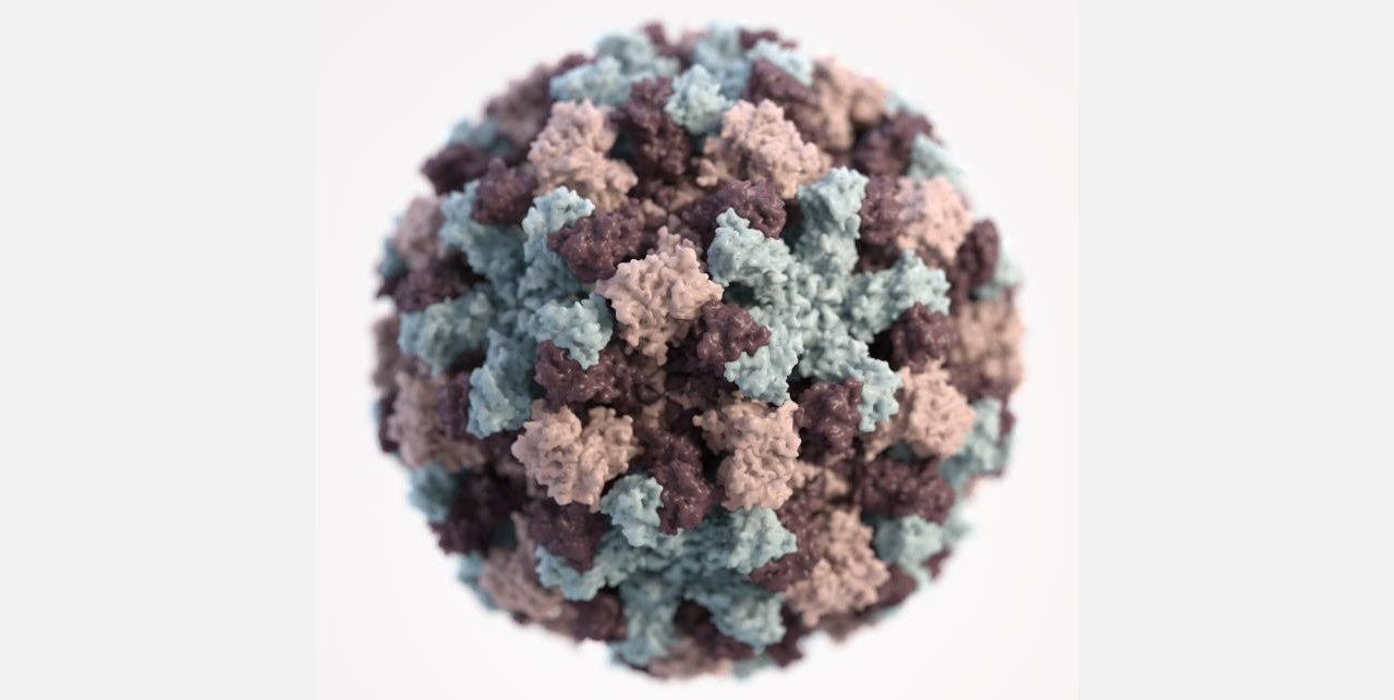 Discovering replication hubs of human norovirus