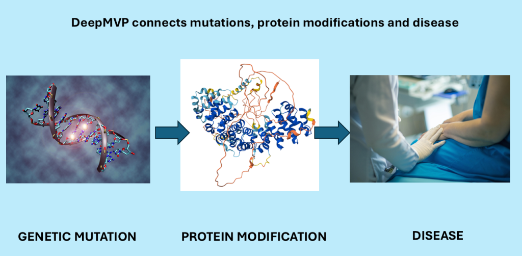AI connects mutations, protein modifications and disease